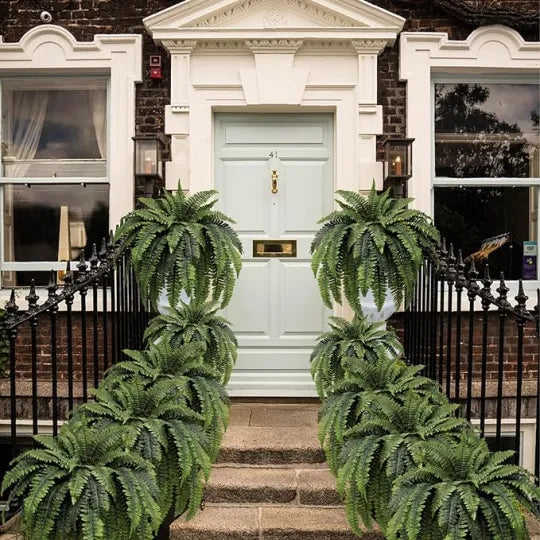 EverLush Fern - Instant Designer Greenery Without Maintenance + 50% OF ...