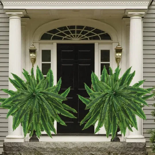 EverLush Fern - Instant Designer Greenery Without Maintenance + 50% OF ...